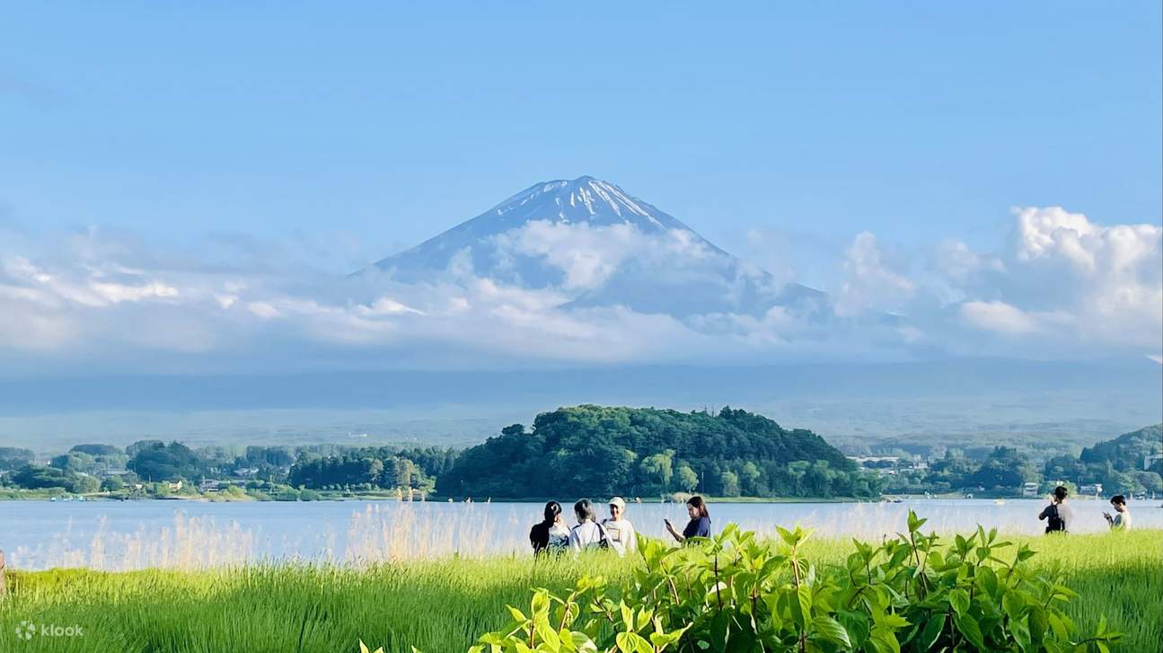Mount Fuji, Kawakuchiko, and Arakurayama Sengen Park Join In Bus Tour ...